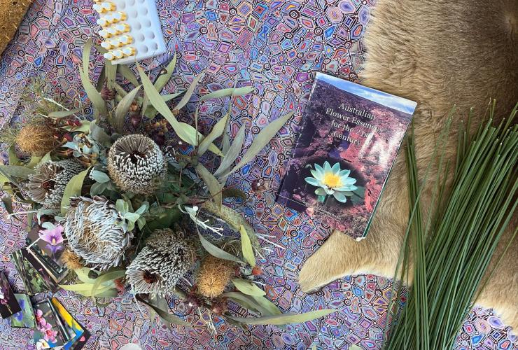 What's on | Visit Fremantle